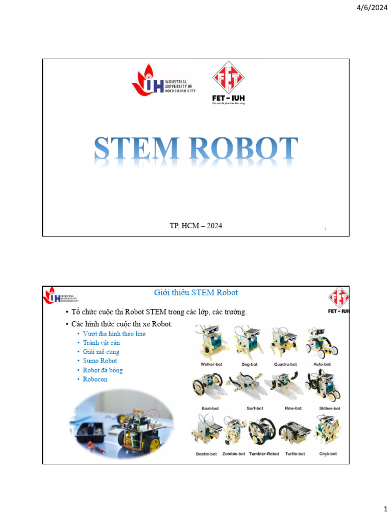 Stem 2024 | PDF