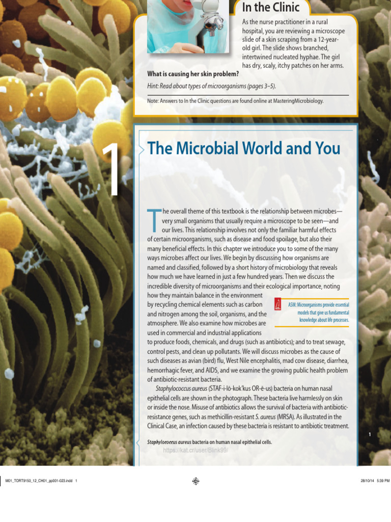 Microbiology - Chap 1 | PDF | Microorganism | Bacteria
