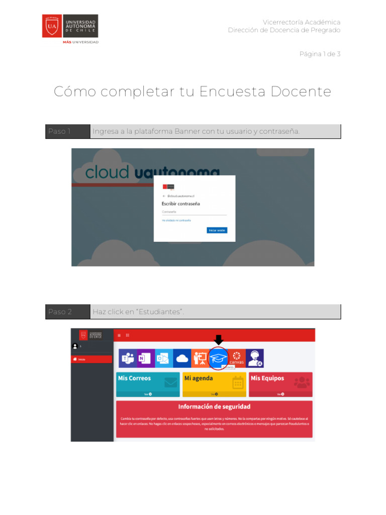 Guia Encuesta Docente Nov 2024 | PDF