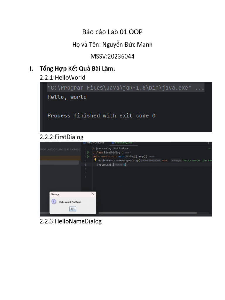 Nguyễn Đức Mạnh OOP Lab 01 | PDF