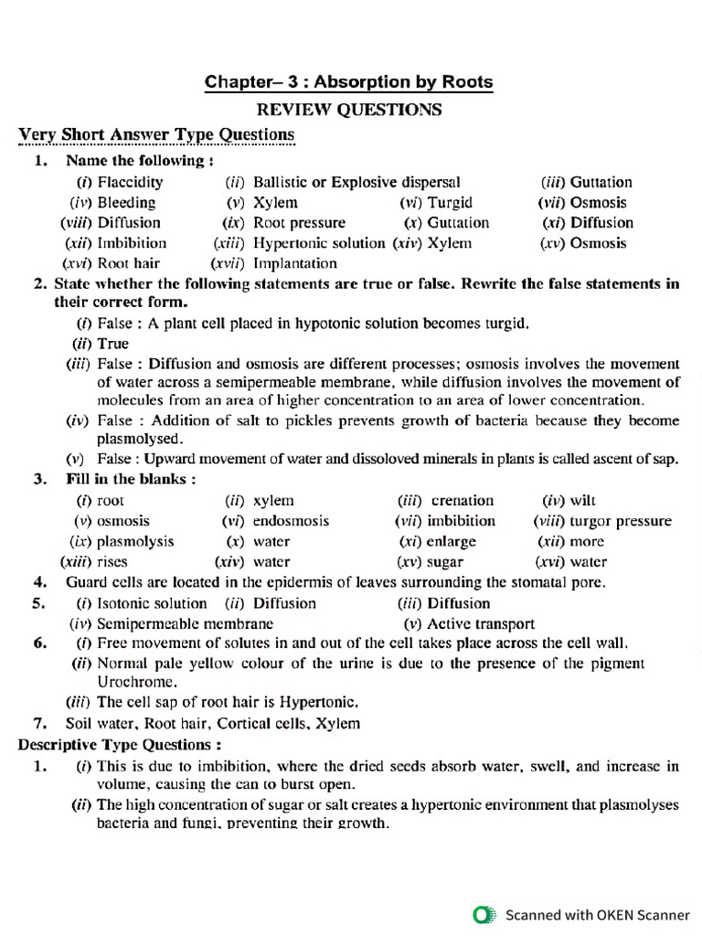 10 Bio Chapter 3 Absorption by Roots | PDF