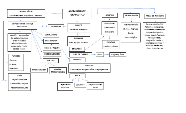Mapa Conceptual Integrador | PDF | Invalidez | Enfermedades y trastornos humanos