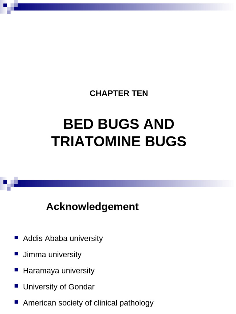 10 - Bed Bugs and Triatomine Bugs | PDF | Zoology | Insects And Humans