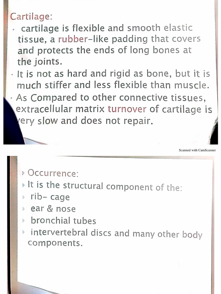 MSK Biochem All Slides | PDF