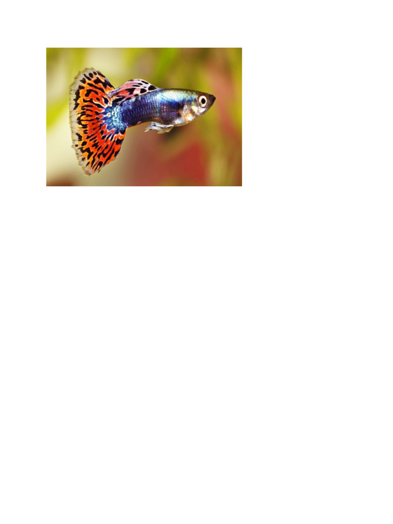 Ikan 2 | PDF