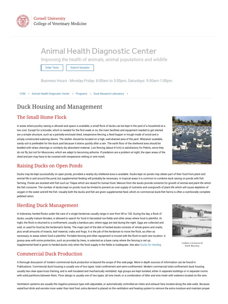 Duck Housing and Management Guide | PDF | Ventilation (Architecture ...