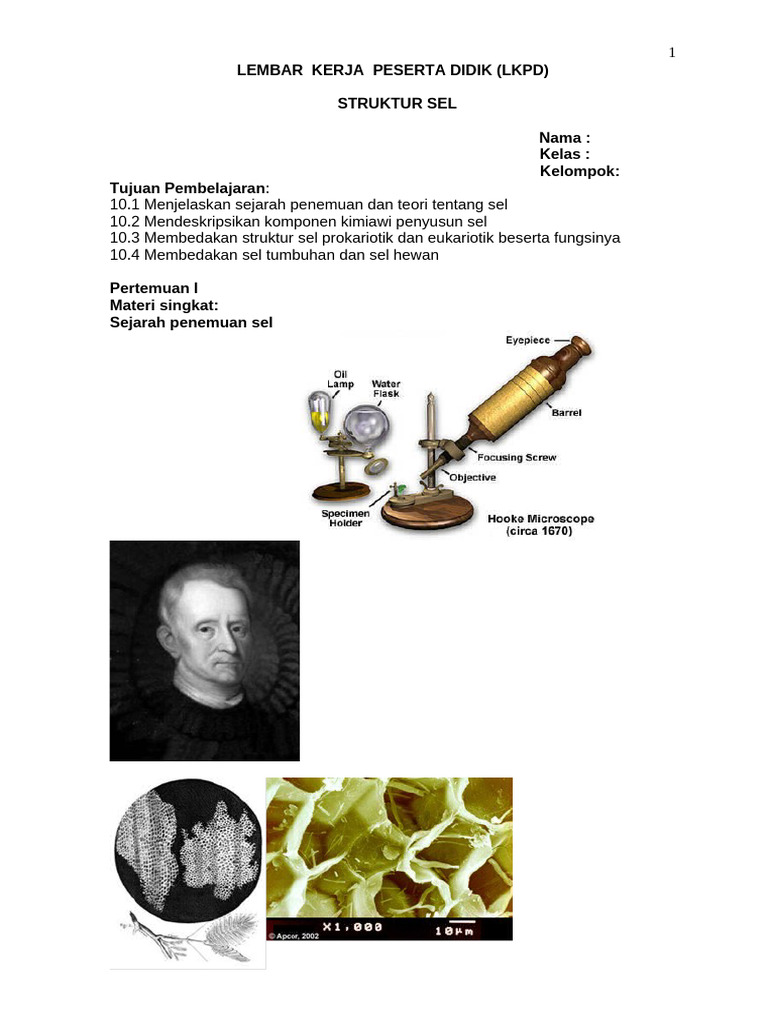 Struktur dan Teori Sel: LKPD Biologi | PDF