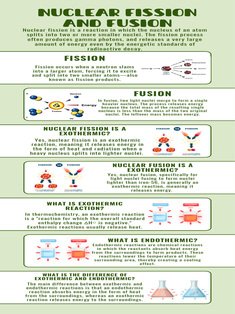 Plant Mitosis Phases Infographic in Green White Illustrative Style ...