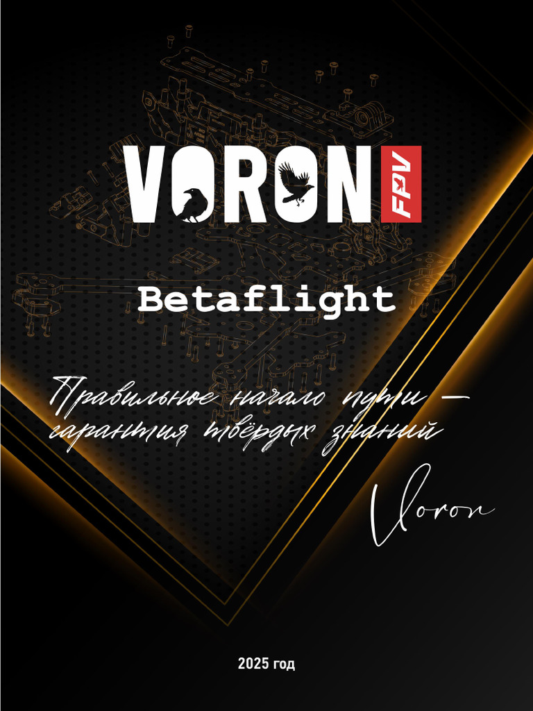 Beta Flight | PDF