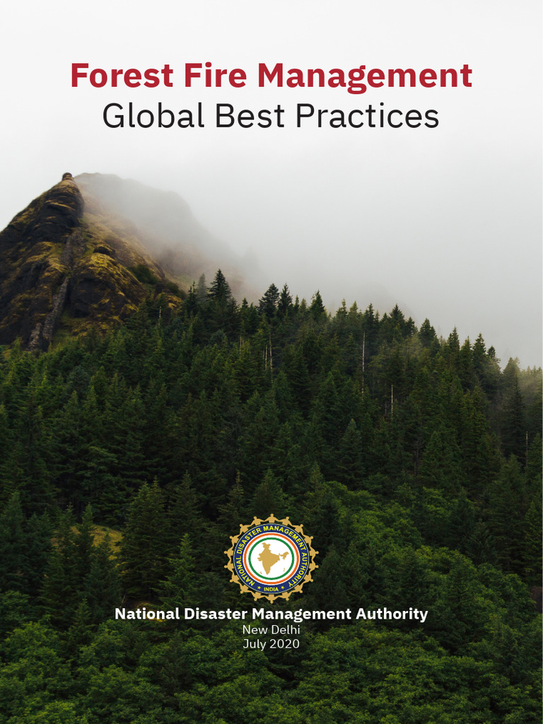 Global Forest Fire Management Strategies | PDF | Wildfire | Fires