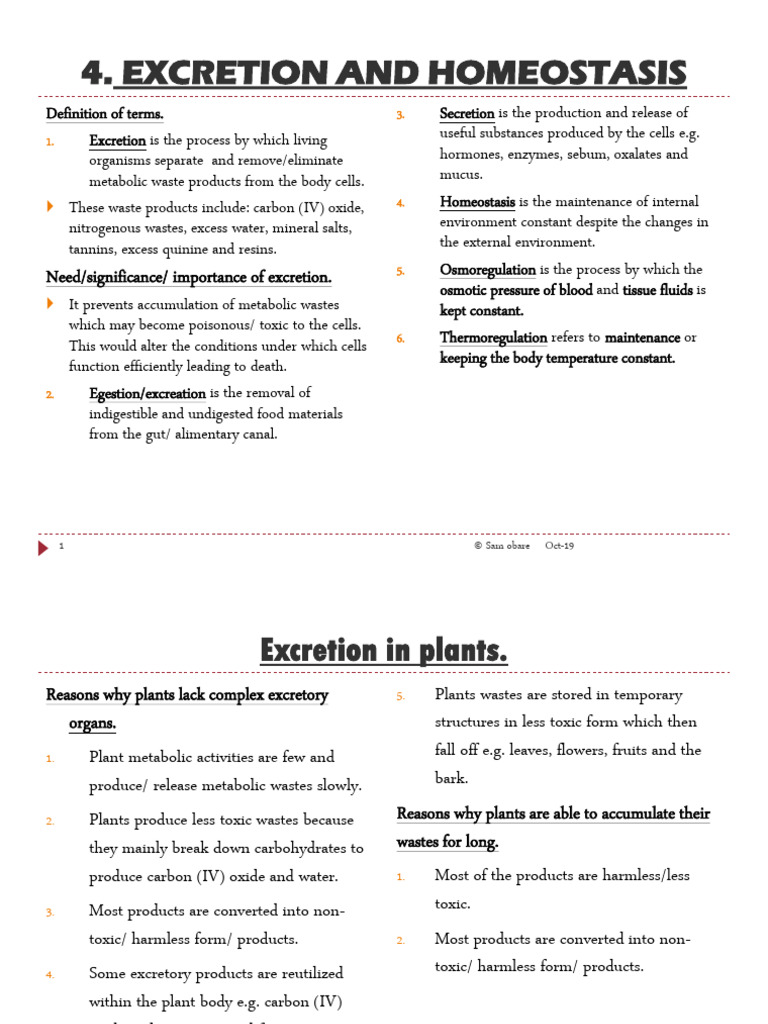 Excretion and Homeostas | PDF | Kidney