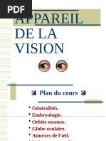 Anatomie de l'Œil : Structure et Fonction | PDF | Cornée | Rétine