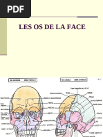 Anatomie des Os du Visage Humain | PDF | Anatomie humaine | Appareil ...