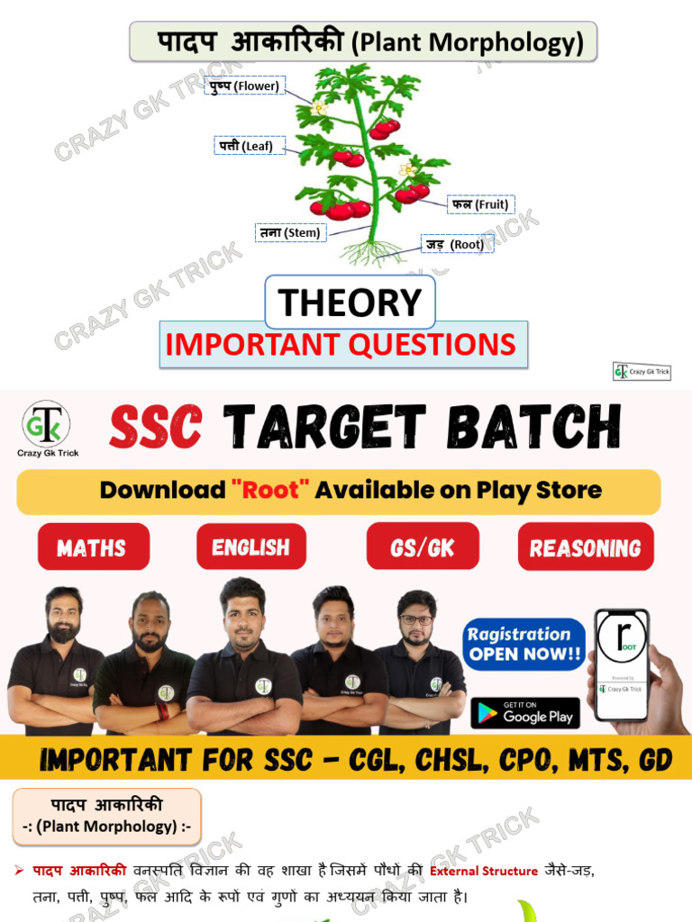 384) PPT-25 Plant Morphology | PDF