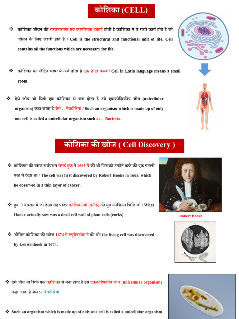 262) Cell Introduction of Cell Part1 L6 | PDF