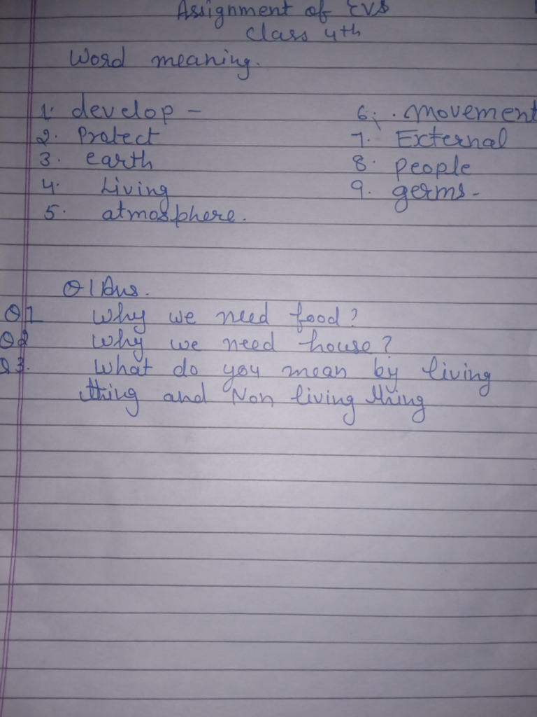 Assignment of Evs | PDF