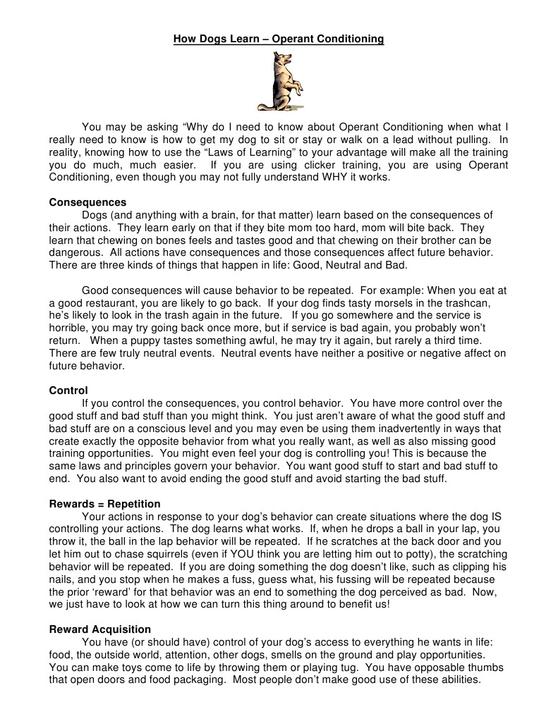 How Dogs Learn | PDF