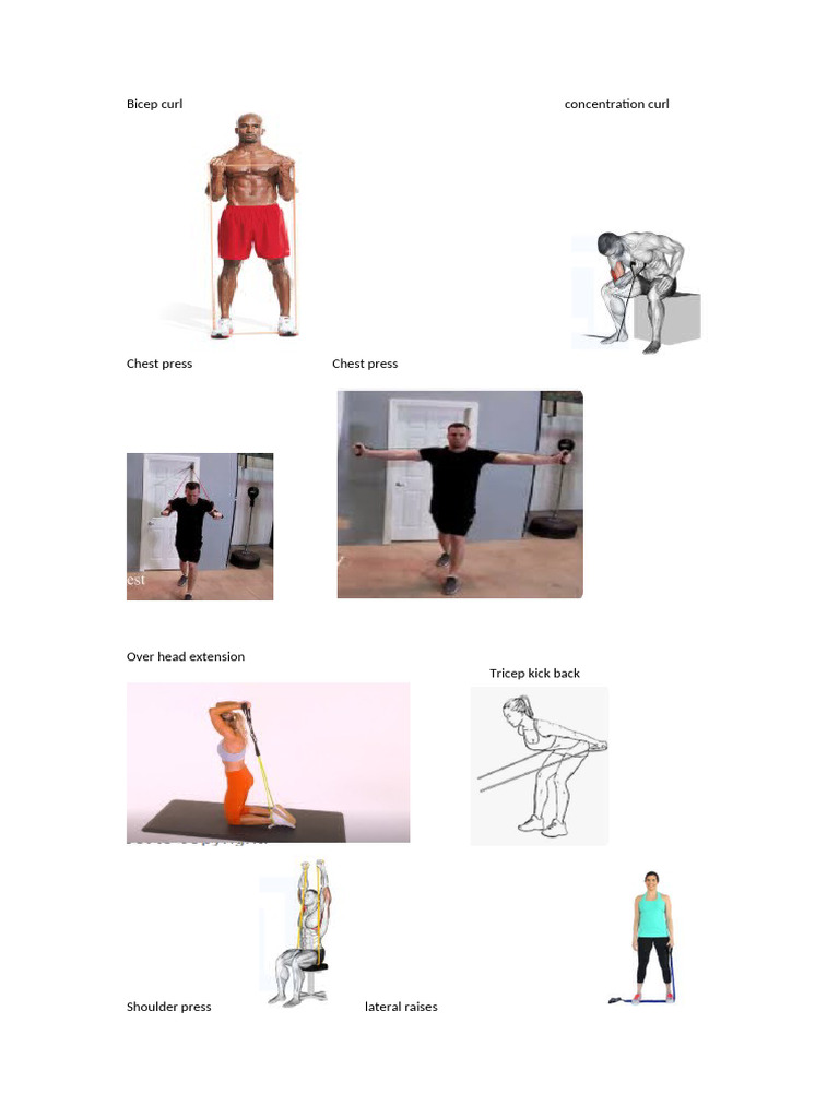 Excercise | PDF