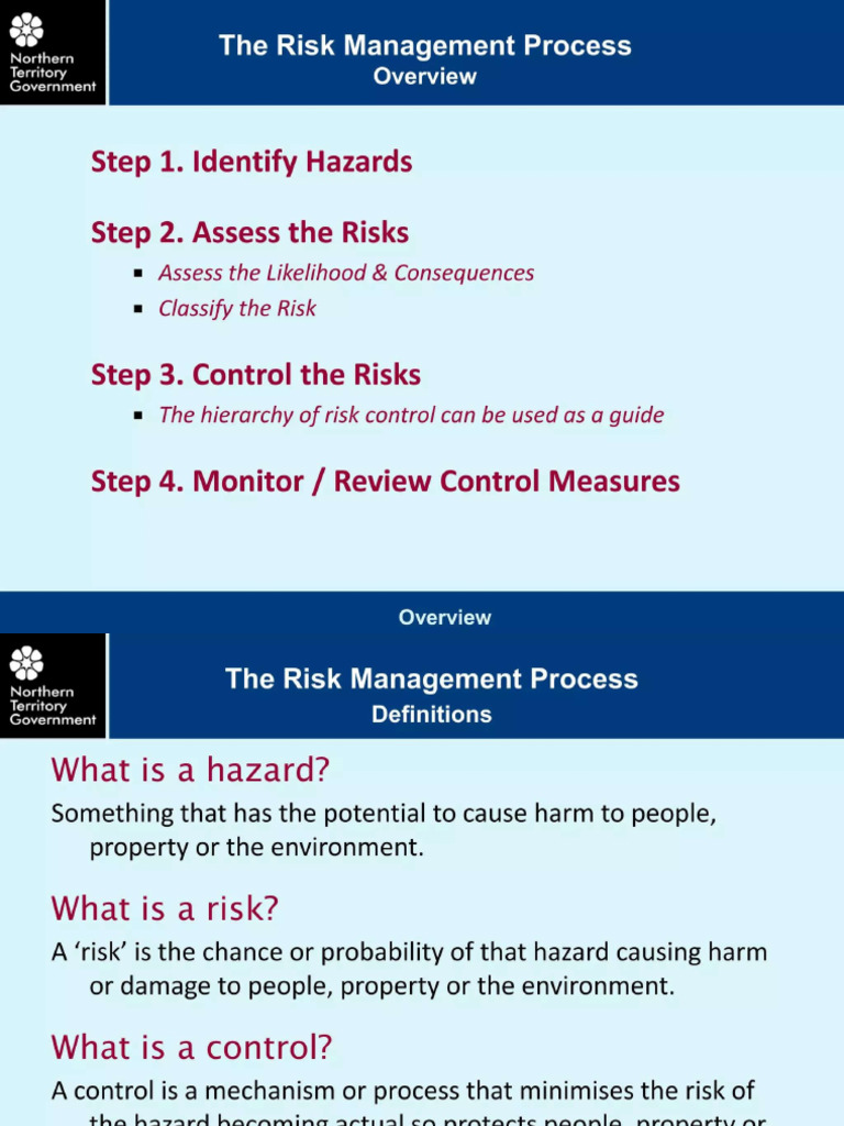 The Risk MGT Process | PDF