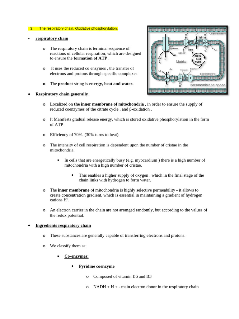 Respiratory Chain and ATP Synthesis | PDF | Electron Transport Chain ...