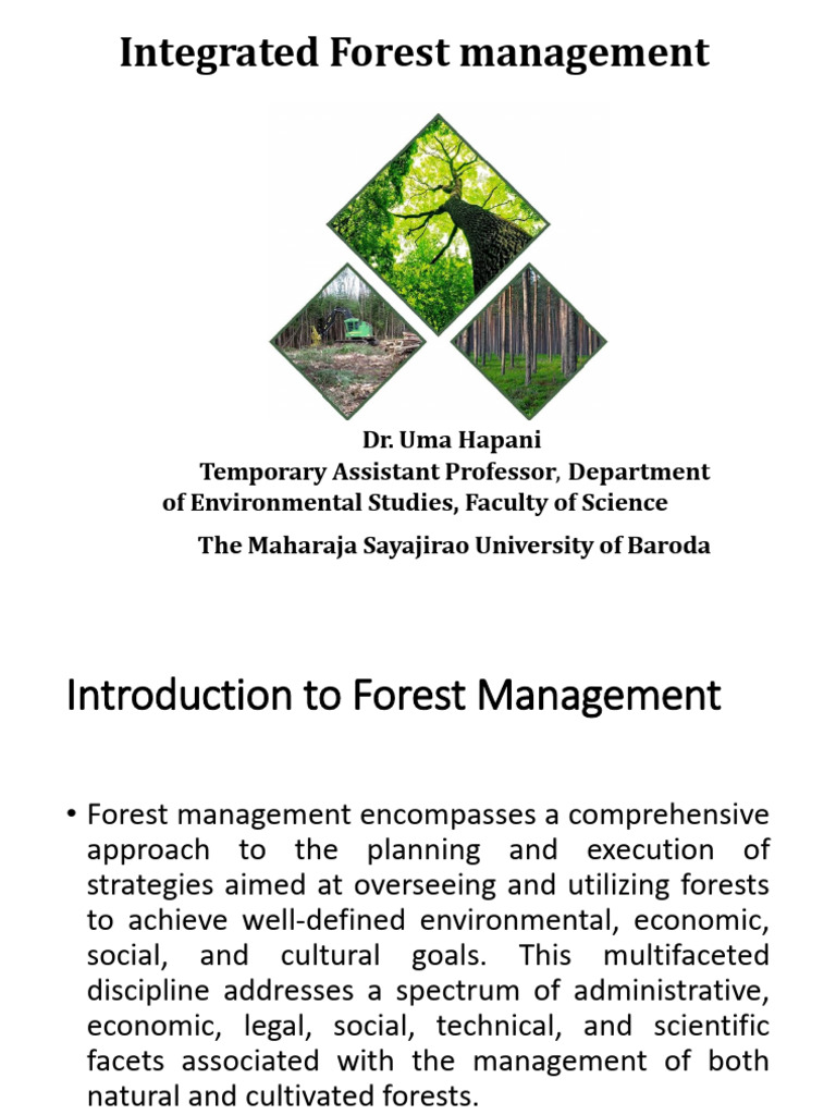 Integrated Forest Management 2 Pdf Forest Management Forests