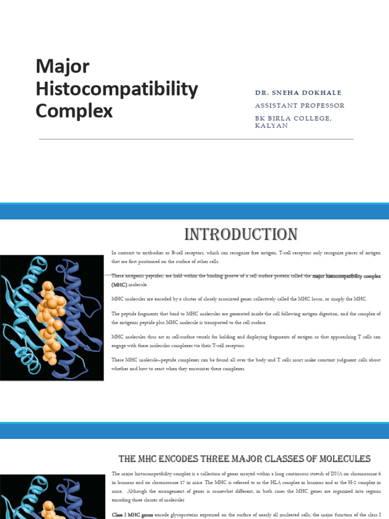 Major Histocompatibility Complex | PDF | Major Histocompatibility Complex | Mhc Class I
