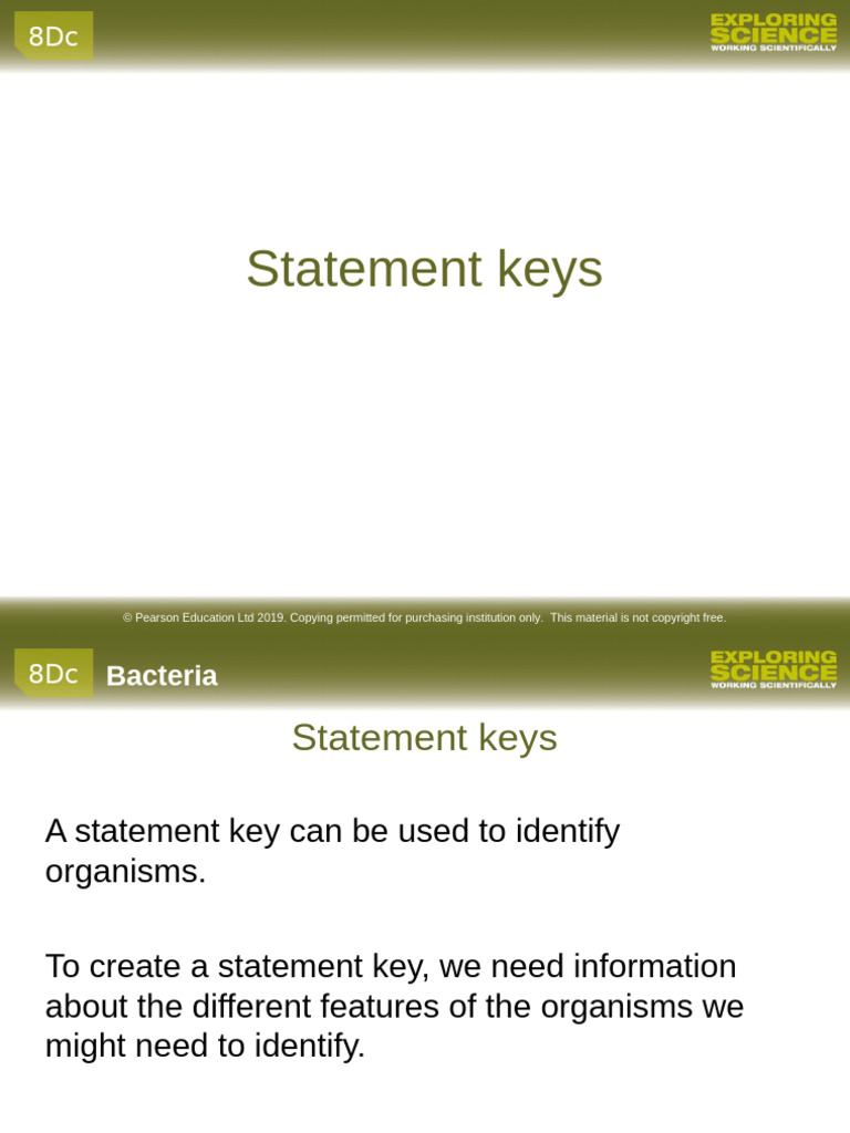 8D Statement Keys For Bacteria | PDF | Cell (Biology) | Prokaryote