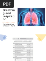 Structure and Function of The Gas Exchange System - Respiration and Gas ...