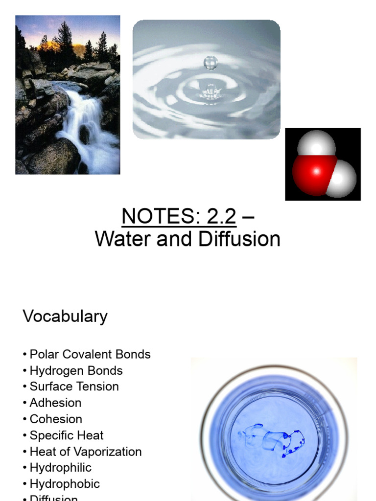 Water Properties and Diffusion Explained | PDF | Water | Chemical Polarity
