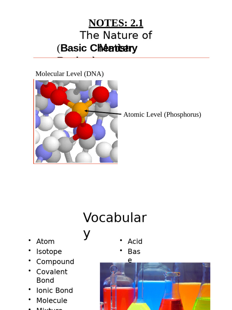 (Chapter 2 Chemistry of Life Notes - Blanks | PDF | Carbohydrates ...
