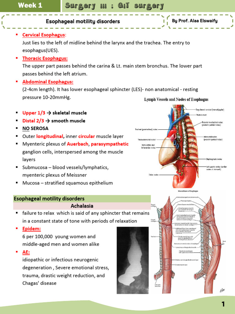 GIT Surgery: Esophageal Disorders Overview | PDF | Esophagus | Diseases ...