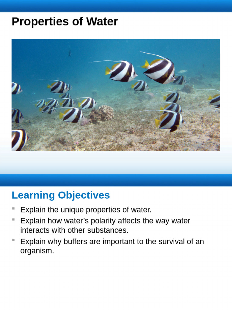 BIO CHEM L02 Editable Presentation | PDF