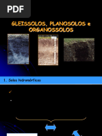 Características dos Vertissolos | PDF | Solo | Geologia