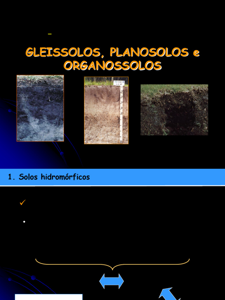 Aula 10 Gleissolos Planossolos Organossolos | PDF | Manganês | Solo