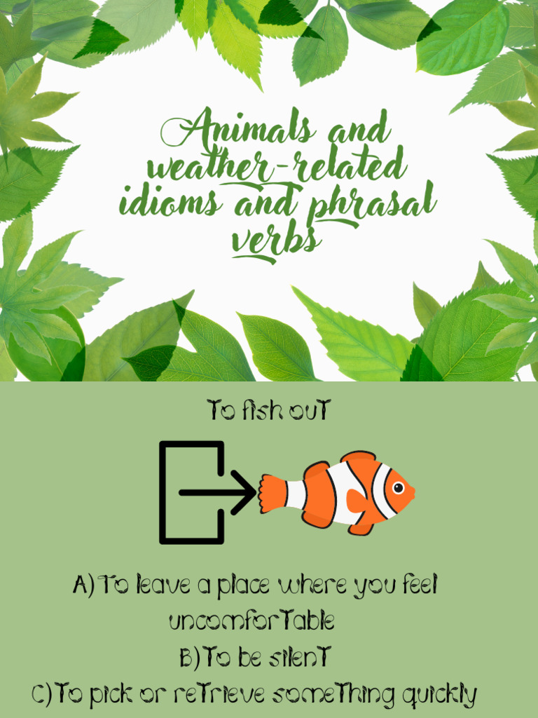 Animal and Weather Related Idioms and Phrasal Verbs | PDF