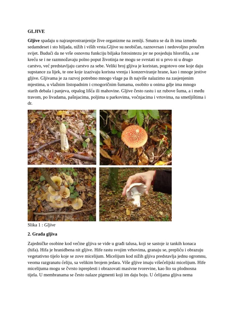 Gljive | PDF