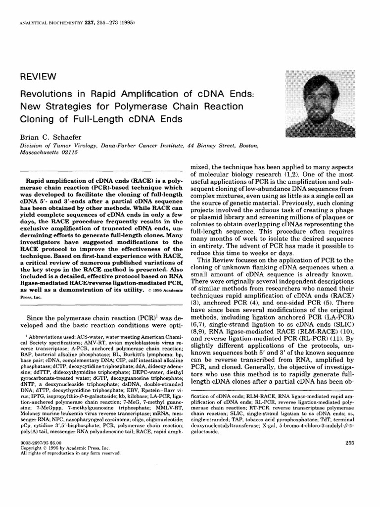 Revolutions in Rapid Amplification of cDNA Ends Ne | PDF