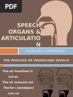 Active and Passive Articulators | PDF