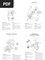 El Mamon en Venezuela | PDF | Alimentos | Plantas comestibles