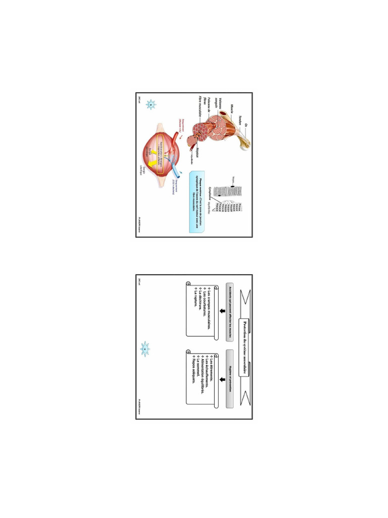 SVT 5 | PDF