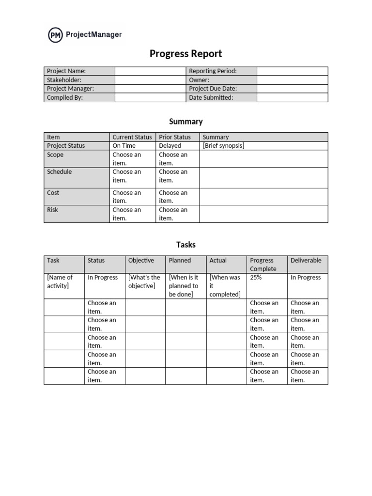 Progress Report Template ProjectManager WLNK | PDF | Budget