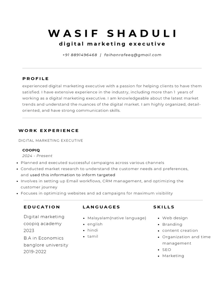 Wasif Shaduli: Digital Marketing Executive | PDF