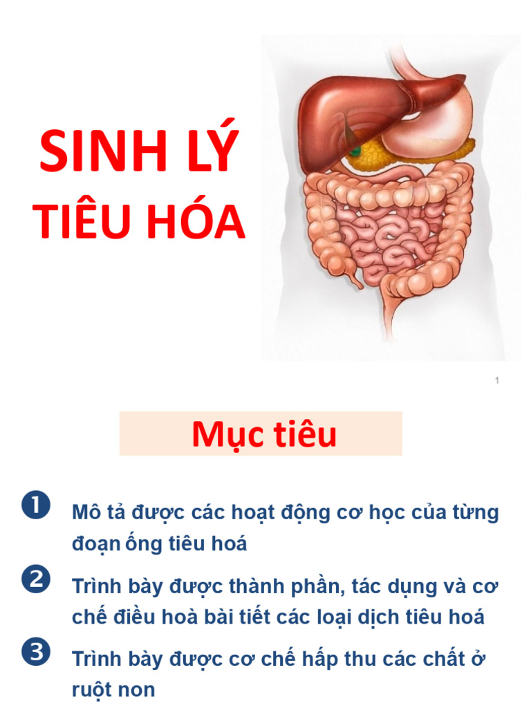 Tieu Hoa1 | PDF