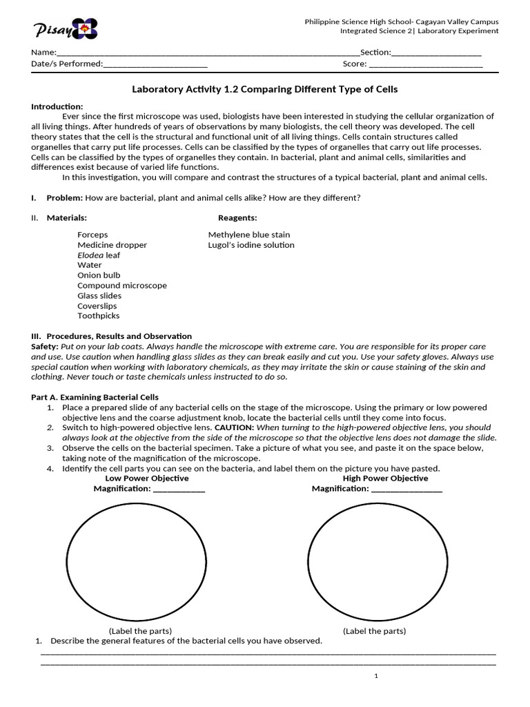 Cell Comparison Lab: Bacteria, Plants, Animals | PDF | Cell (Biology ...