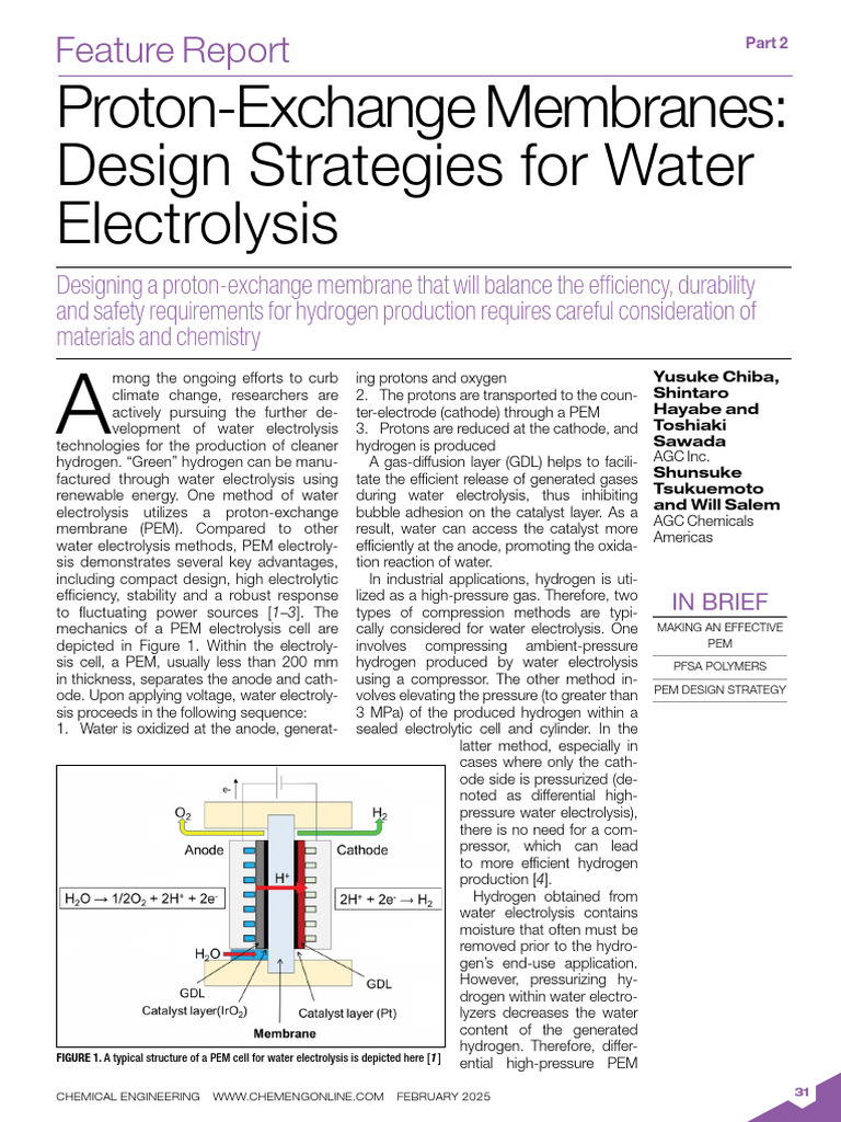 Proton Exchange Membranes Design Strategies For Water Electrolysis ...