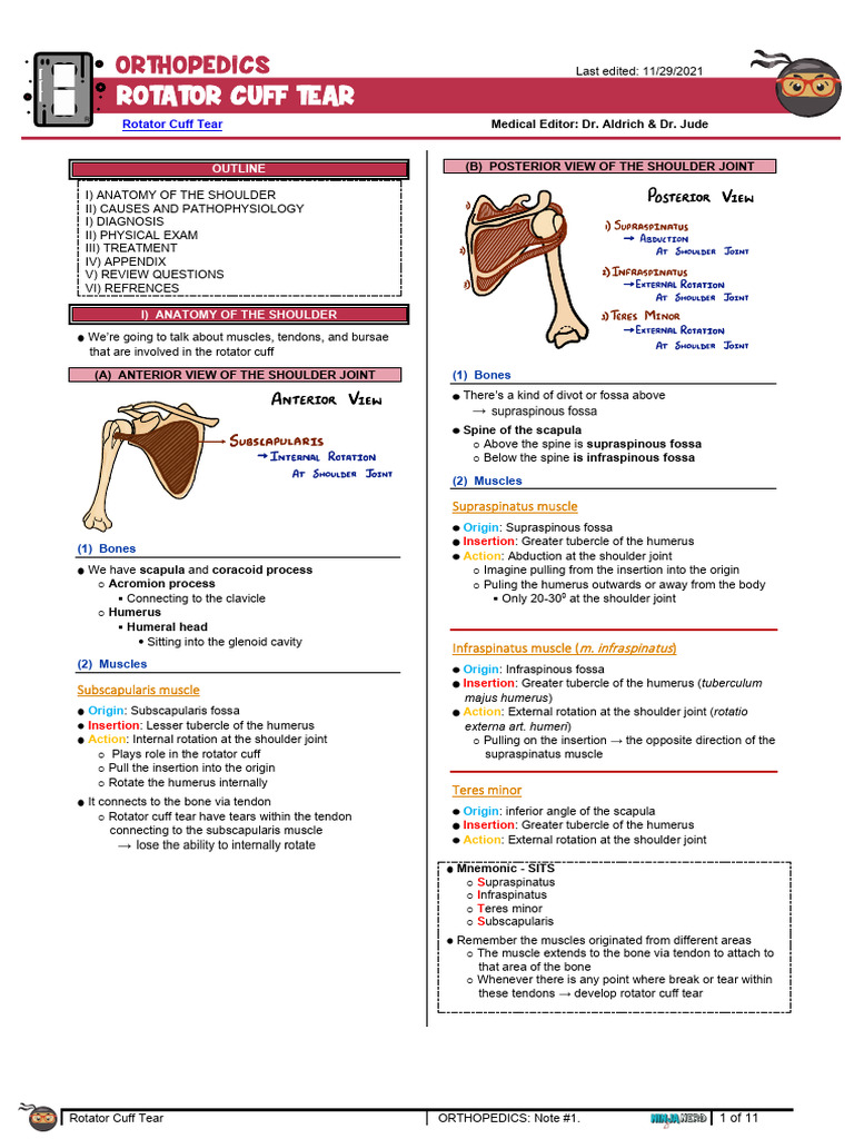 Rotator Cuff Tear Etiology, Pathophysiology, Diagnosis, Treatment and ...