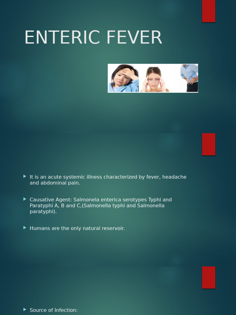 Understanding Enteric Fever Causes & Treatment | PDF