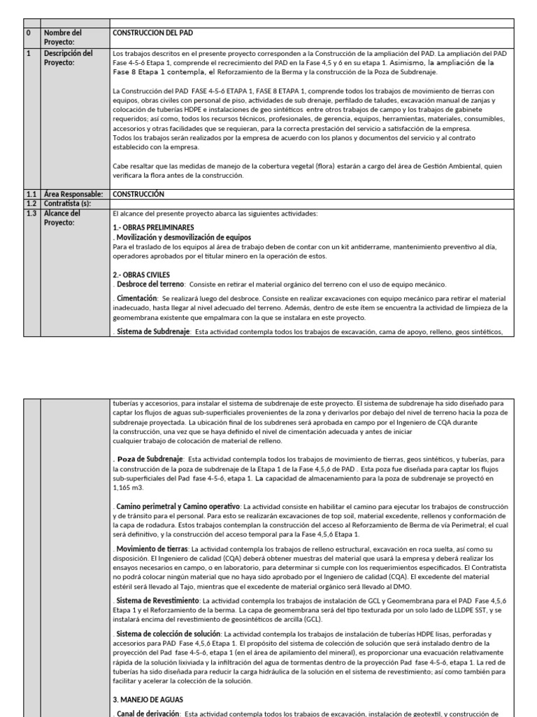 Proceso Constructivo PAD | PDF