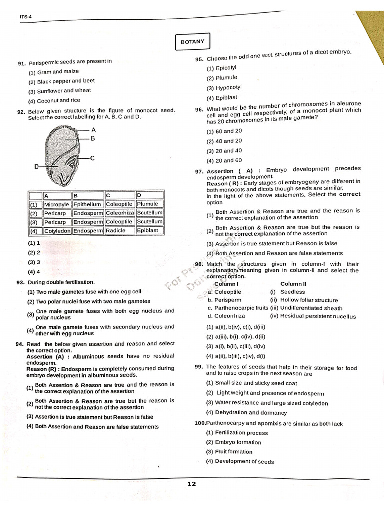 ITS Test | PDF
