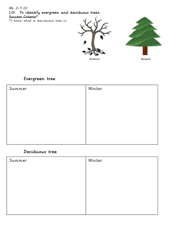 Science Supported Learning 2 | PDF